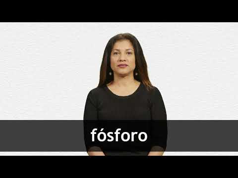 English Translation of “FÓSFORO” | Collins Spanish-English Dictionary