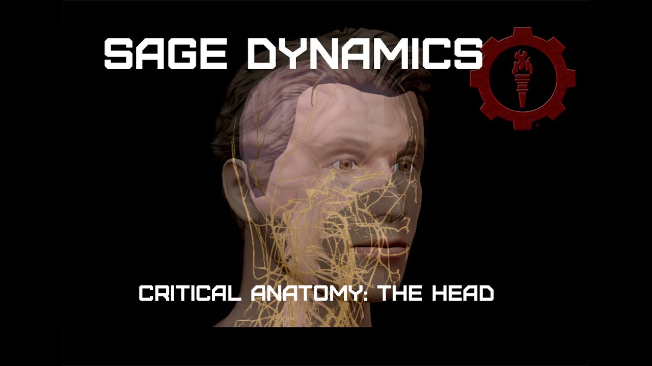 Critical Anatomy: The Head