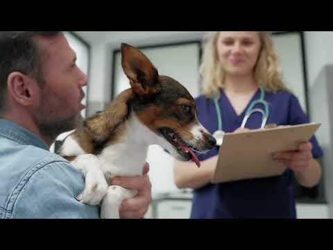 Trust Funds for Pets: 4 - Managing and Administering Your Pet Trust