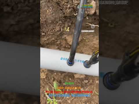 For better production and yield go jor Jain Irrigation Drip System #drip #irrigation #farmer #betul