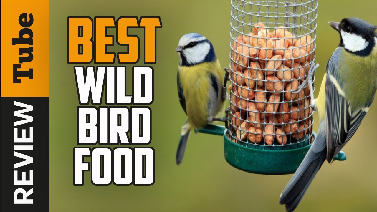 ✅Bird Food: Best Wild Bird Food (Buying Guide)