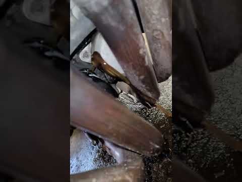 Don’t buy K&N oil filter