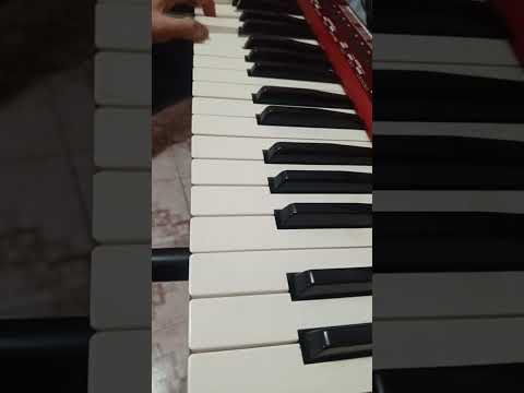 dividir octavas en instrument bank & EXPORTAR EN NKI-kontakt 🎼