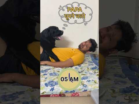 Dog Lover #trending #shorts #doglover #lucky