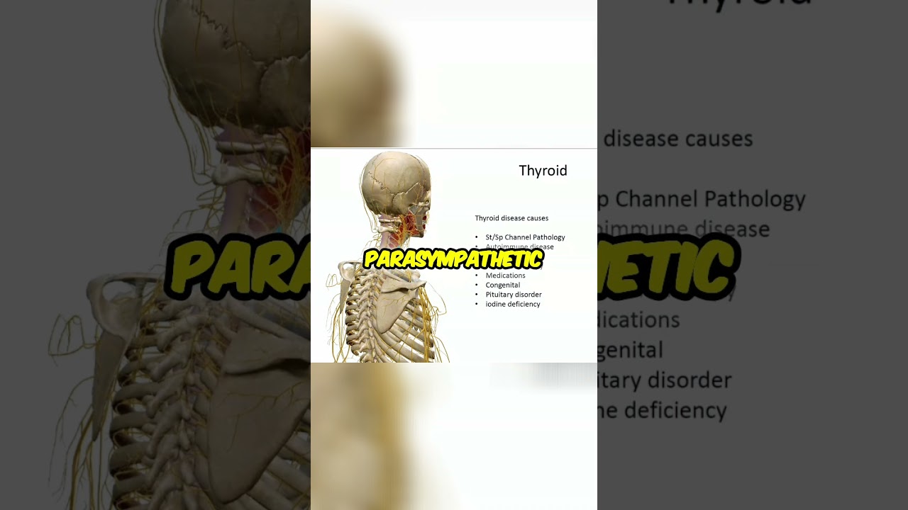 Unlock Thyroid Secrets - Boost Energy, Optimize Health NOW!