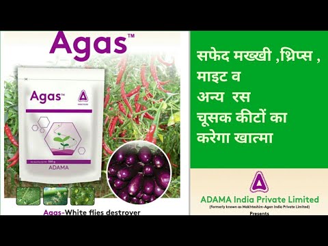 Adama Insecticides - Parviz Insecticides Latest Price, Dealers ...