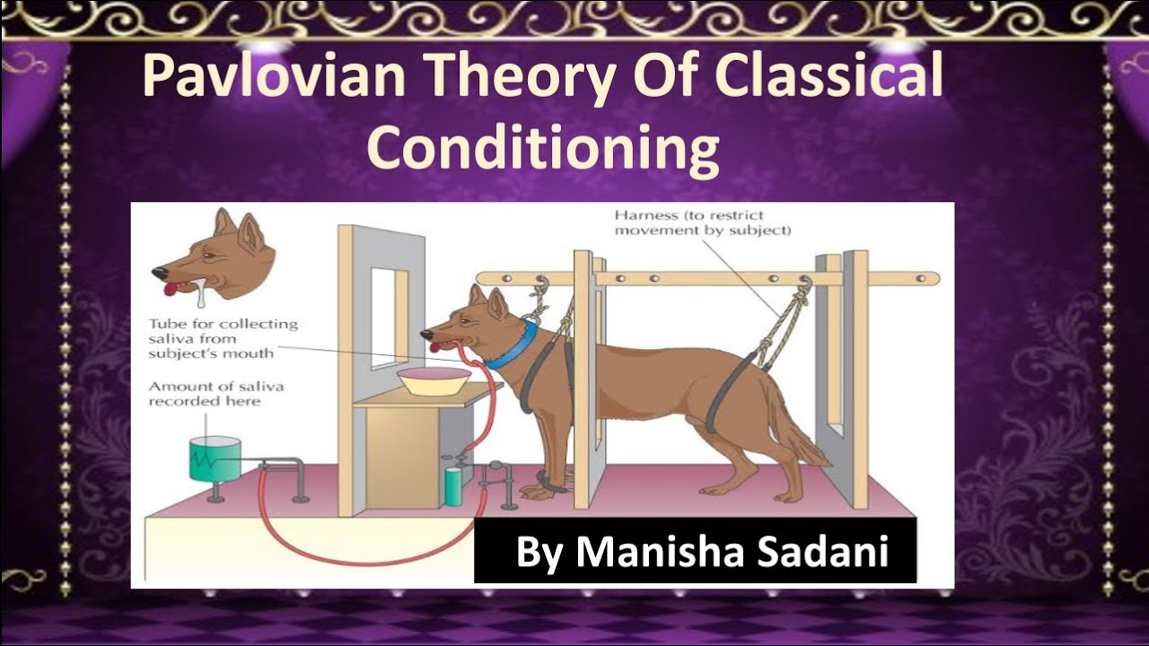 Pavlovian Classical Conditioning Theory|| In English|| Consumer Behaviour Model|| Marketing