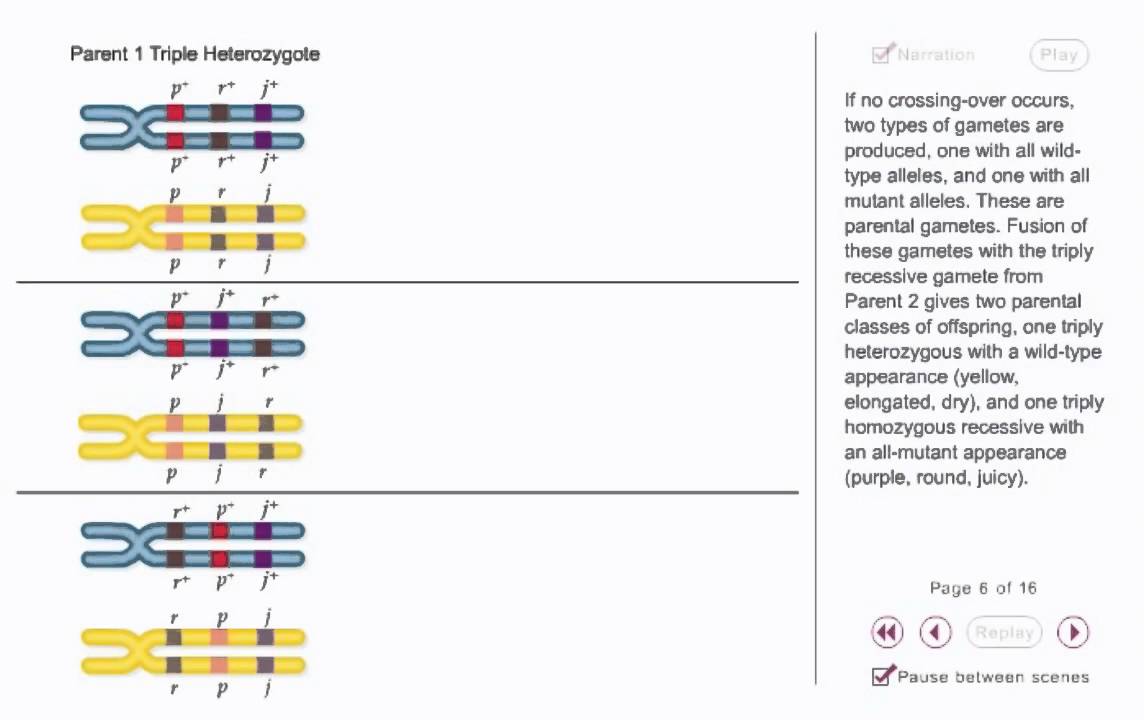 Three Point mapping Animation