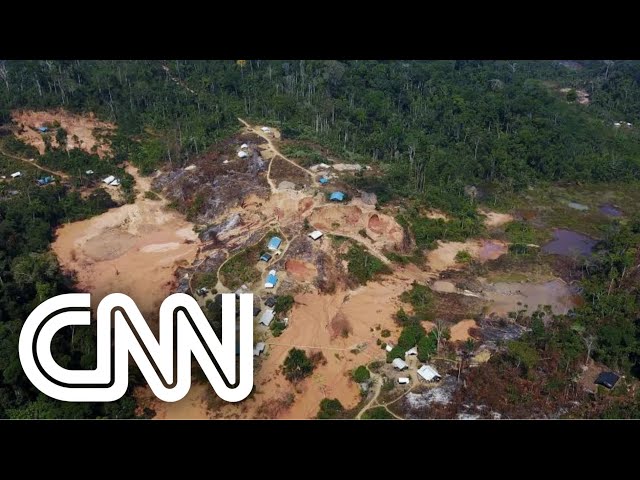 Dez mil imóveis com títulos cancelados no Pará foram usados para grilagem, diz estudo | CNN Brasil
