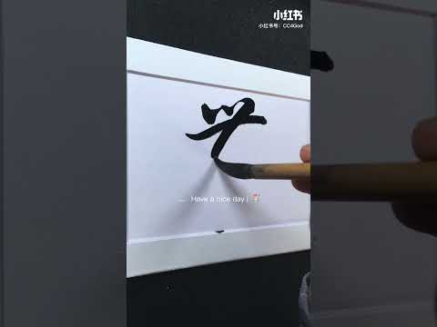 4000 Chinese characters semi-cursive script 带carry demo by Picasso Hou