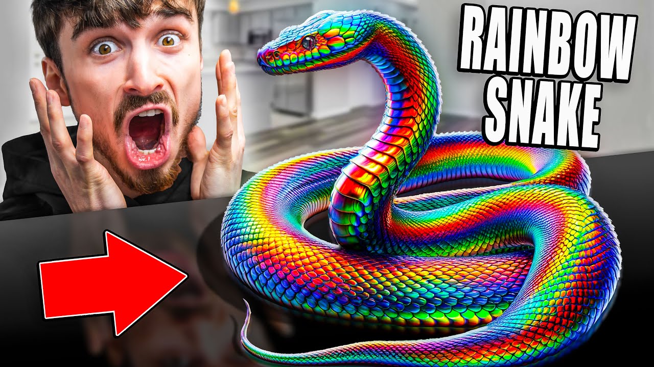 Rainbow Snake! The Most Beautiful Snakes In The World!