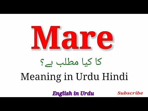 Mare Meaning in Urdu