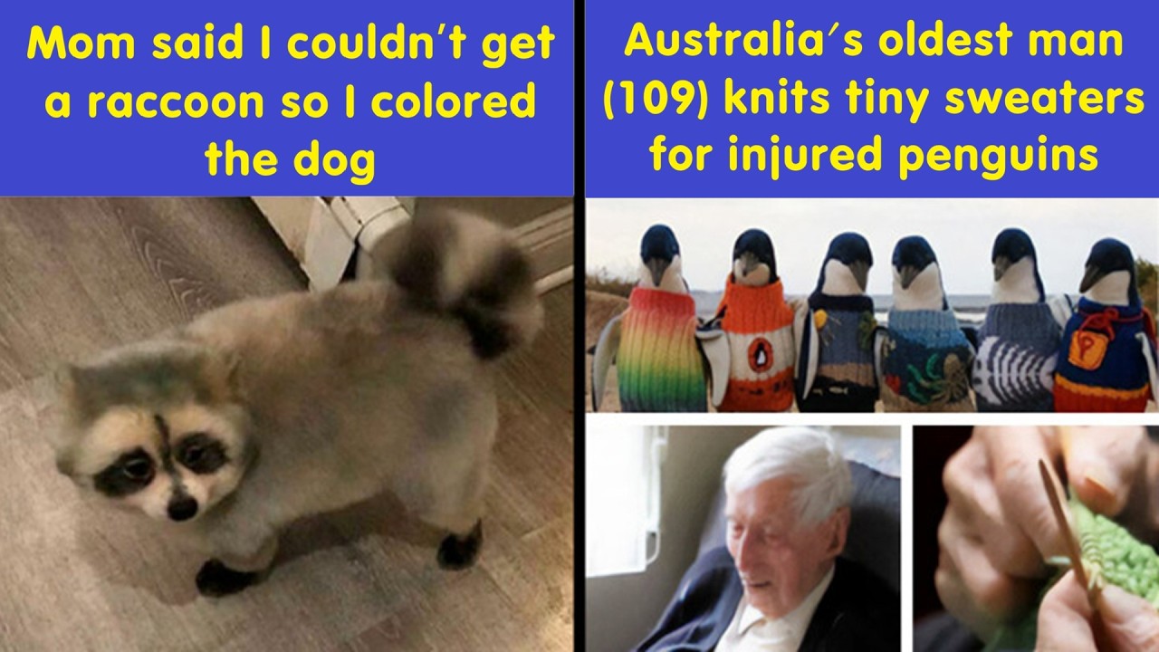 Blessed Images That Will Instantly Brighten Your Day | Happy And Fun