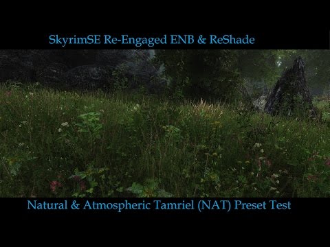 SkyrimSE Re-Engaged ENB+ReShade NAT Preset(BETA)Released. Thoughts?