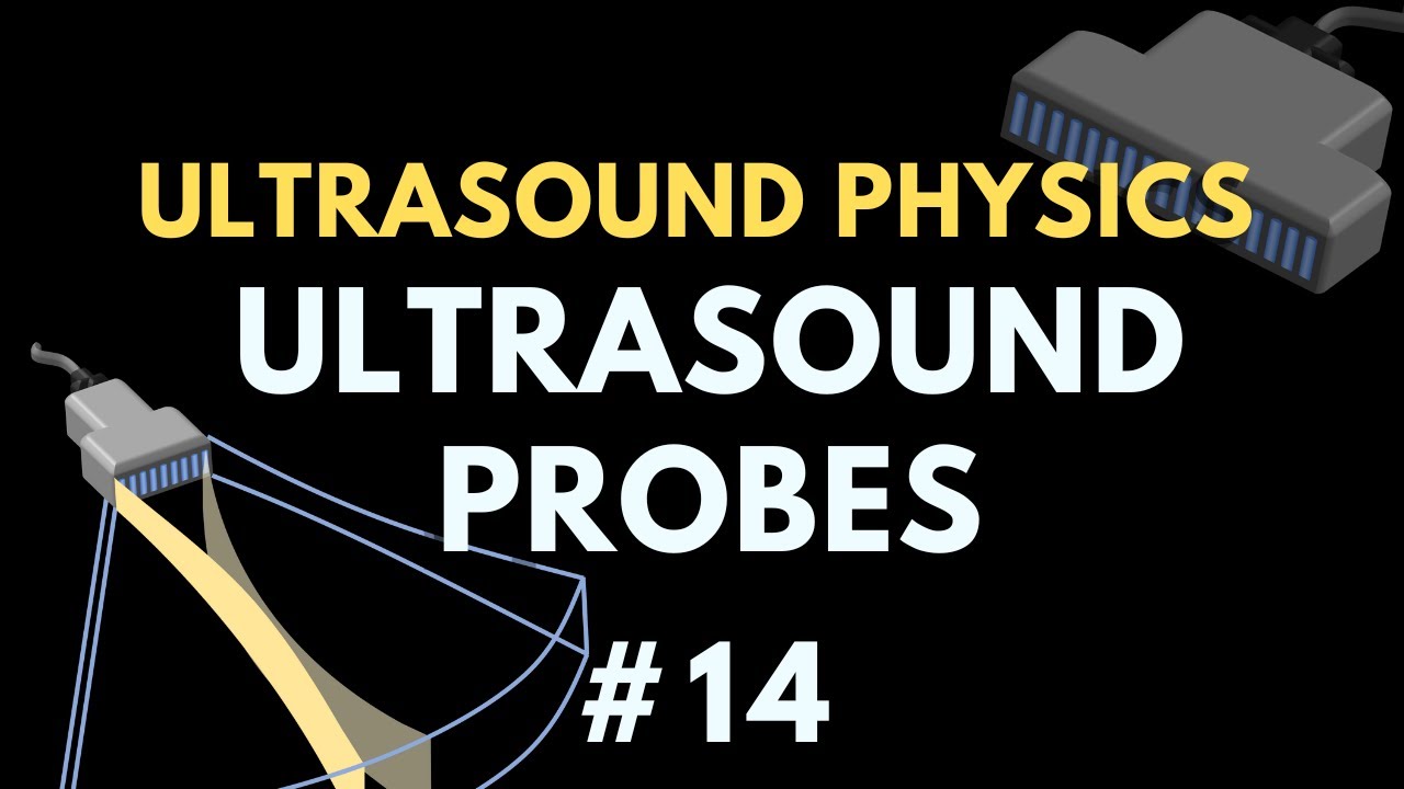 Understanding Ultrasound Probes and Transducer Types in Radiology ...