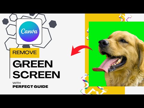 How To Remove Greenscreen In Canva (One-Click)