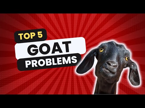 “First-Time Goat Owners: Guide to Goat Ownership 101, Including Tips to ...