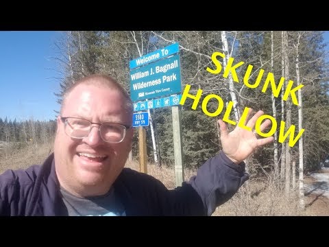 Exploring Skunk Hollow, Alberta | DanOCan