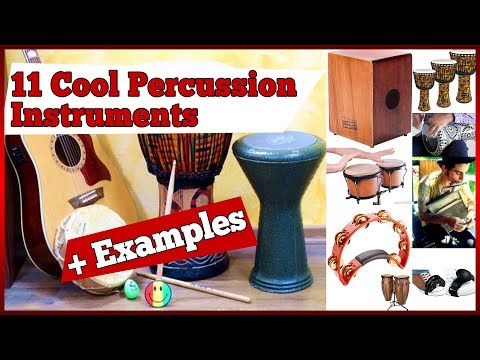11 Cool PERCUSSION Instruments to Check Out