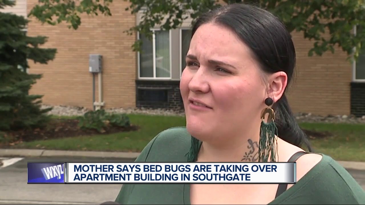 Mother says bed bugs are taking over apartment building in Southgate