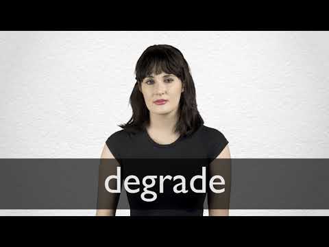 Synonyms of DEGRADE | Collins American English Thesaurus