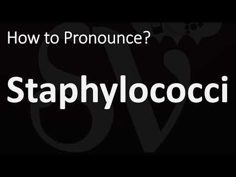 How to Pronounce Staphylococci? (CORRECTLY)