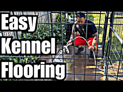 Easy kennel flooring (Tips & Tricks!)