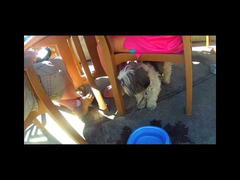 Aaron Bevan-ABHealthJournalist:Pierside Cafe Pismo Beach
