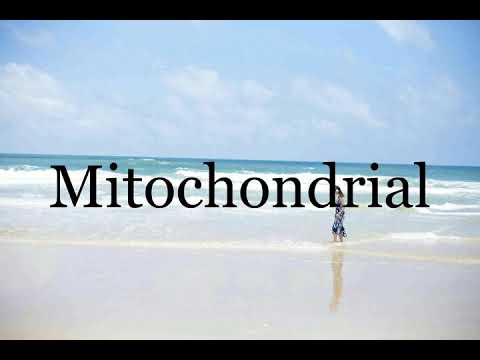 How To Pronounce Mitochondrial🌈🌈🌈🌈🌈🌈Pronunciation Of Mitochondrial