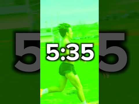5K Race in Fake Alphaflys!