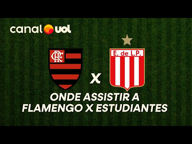 Jogo do Flamengo hoje (18) pela Libertadores: horário e onde assistir ...
