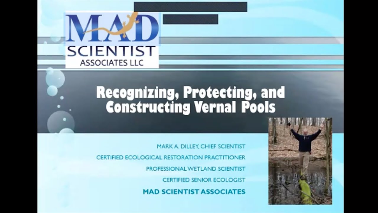 RECOGNIZING, PROTECTING, AND CONSTRUCTING VERNAL POOLS