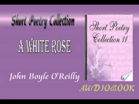 A White Rose John Boyle O'Reilly Audiobook Short Poetry