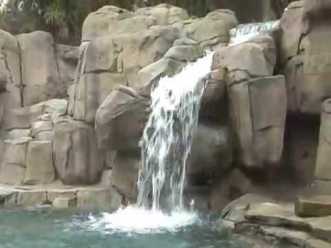 Dallas Zoo 2007