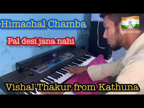 Himachal Chamba pal desi Jana nahi #shorts #shortsfeed #todaydogra #youtube