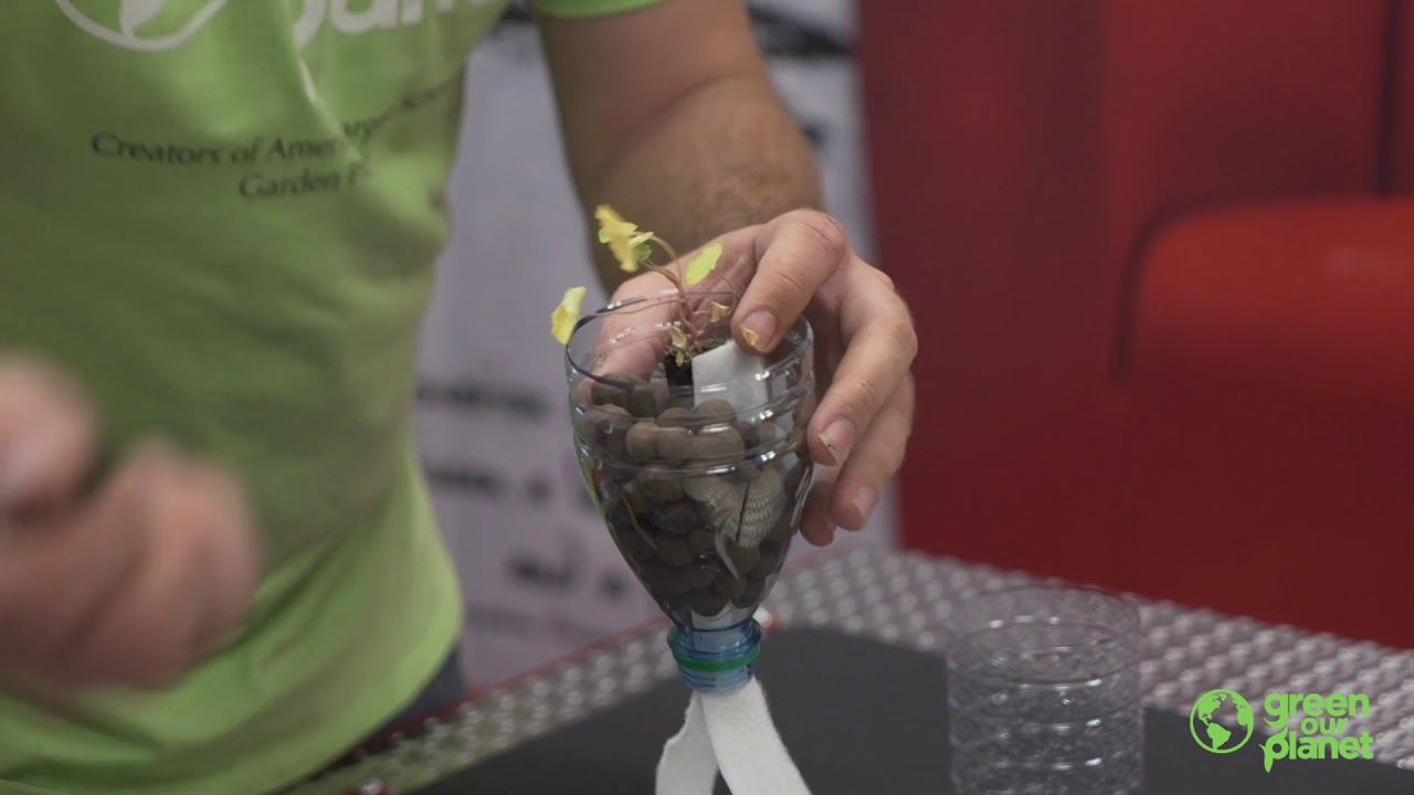 How to build a simple wicking hydroponics system!