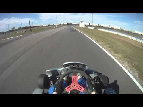 About | Squirrels Racing