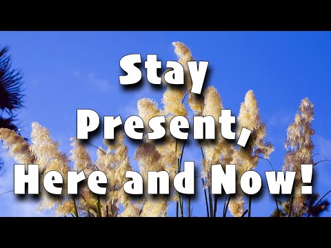 Carpe Diem: A Life-Changing Poem for Living in the Present Moment