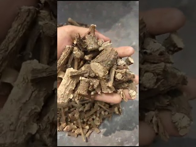 Dry Herbs, leaf &root - Dried Safed Musli Root Trader - Wholesaler ...