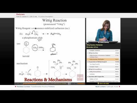 H2s Alive Ticket | Aminaa Alex