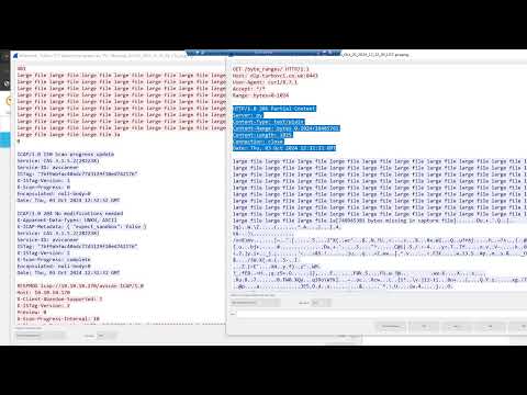 CAS File Size detection - range: bytes