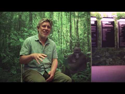 Our Story with David Attenborough to open its doors at the Natural History Museum