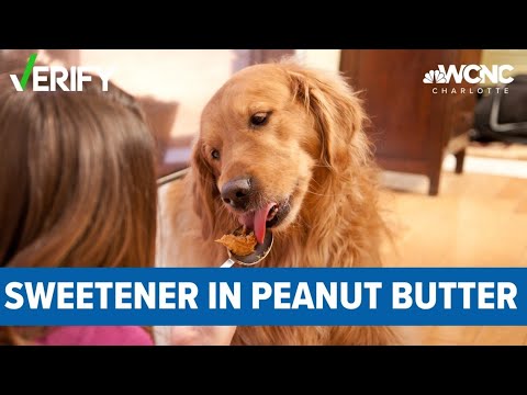 Yes, some peanut butter is toxic for dogs | VERIFY