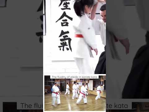 The fluidity of aikido in karate context instagram.com/karatebreakdown @shinzenryu_aikido