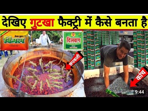 देखिए गुटखा कैसे बनता है? Gutkha making Process! Pan masala Kaise Banta Hai!