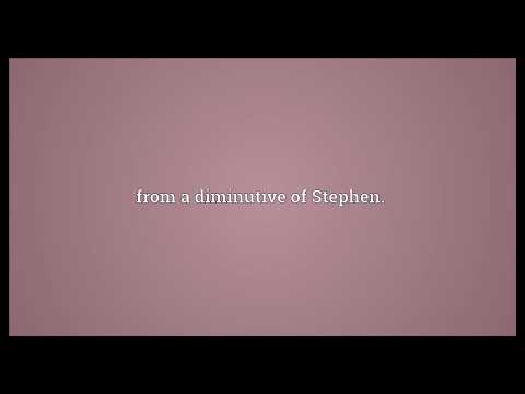 Stein Meaning