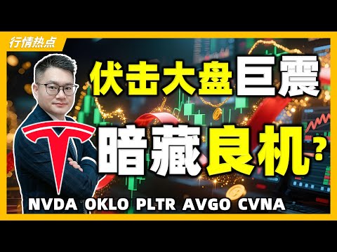 中东局势引发全球股市地震!特斯拉正酝酿超级买点?何时低吸最佳?#PLTR|#英伟达|#特斯拉|#美股|#股票|JohnLu谈股 @johnlutalkstock #股票分析