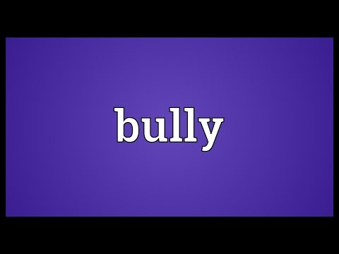 Bully Meaning