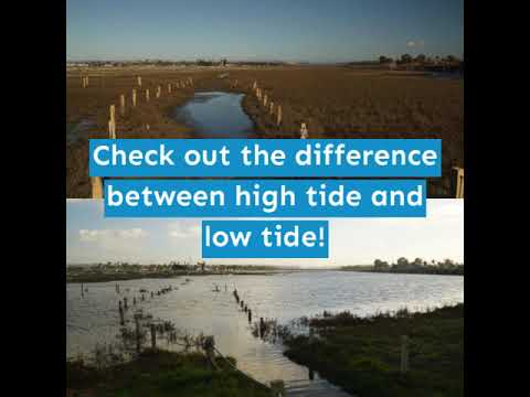 King Tides & the San Diego River