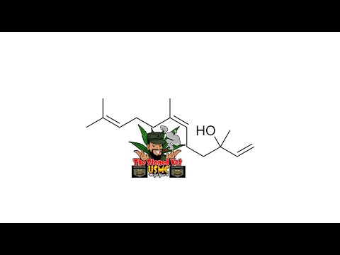 episode 13 trans nerolidol